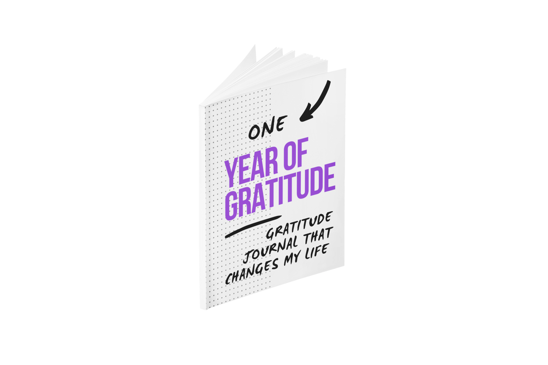 One Year of Gratitude - Gratitude Journal that Changes My Life ...